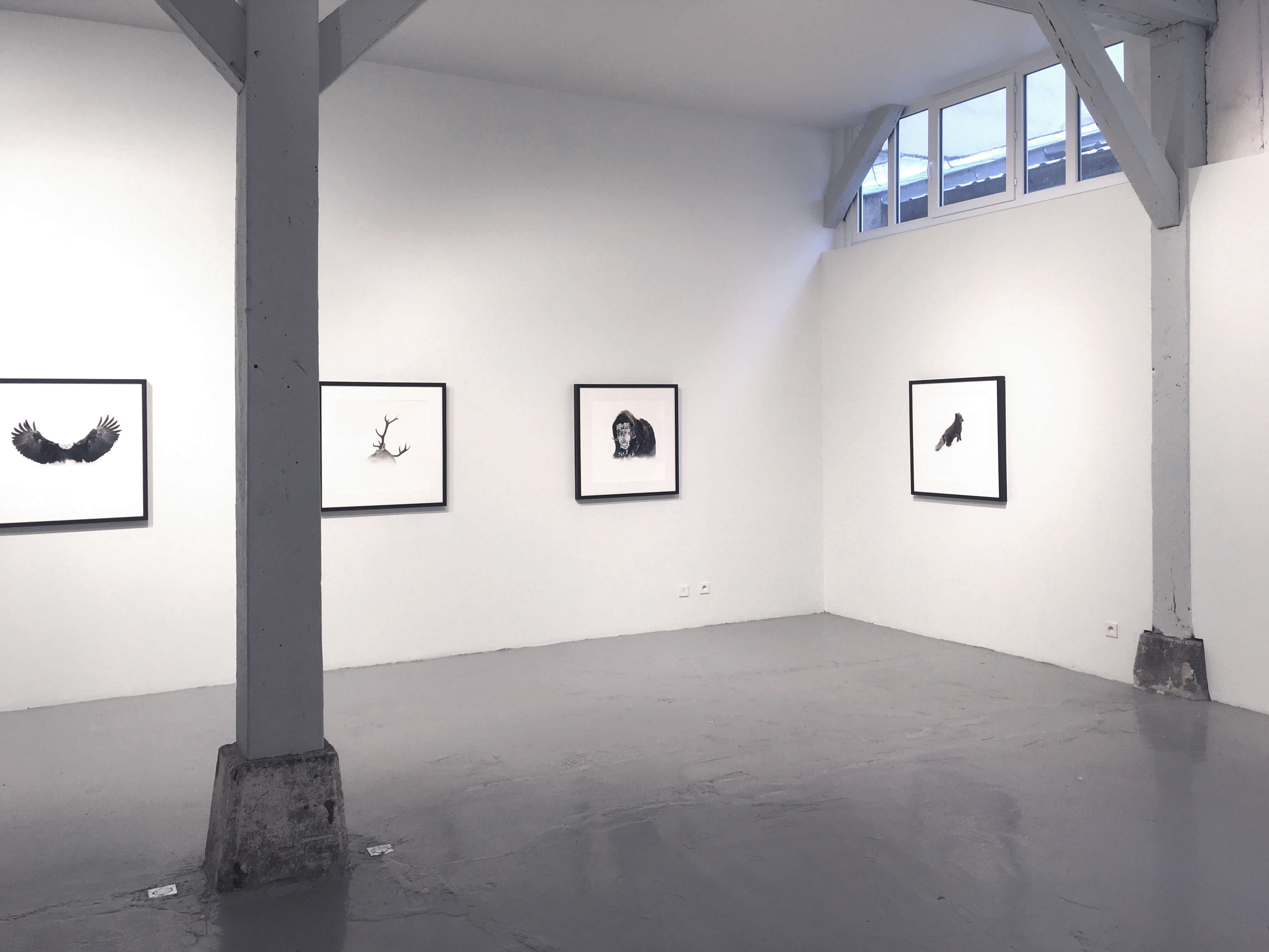 Exposition pour Jérémie Villet à la Galerie au Roi - Paris 11